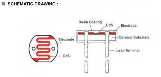 5mm CDS Photoconductive Cell / Photoresistor For Switch , Photocell ...
