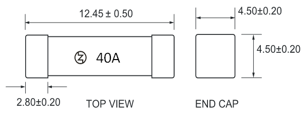 SMD SMT 40A 250V Surface Mount Fuse Gold Plated Cross